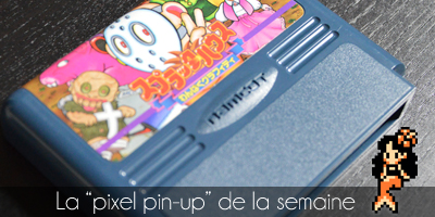 La Pin-Up de Pixels de la semaine # 3 – Le Guide du Collectionneur